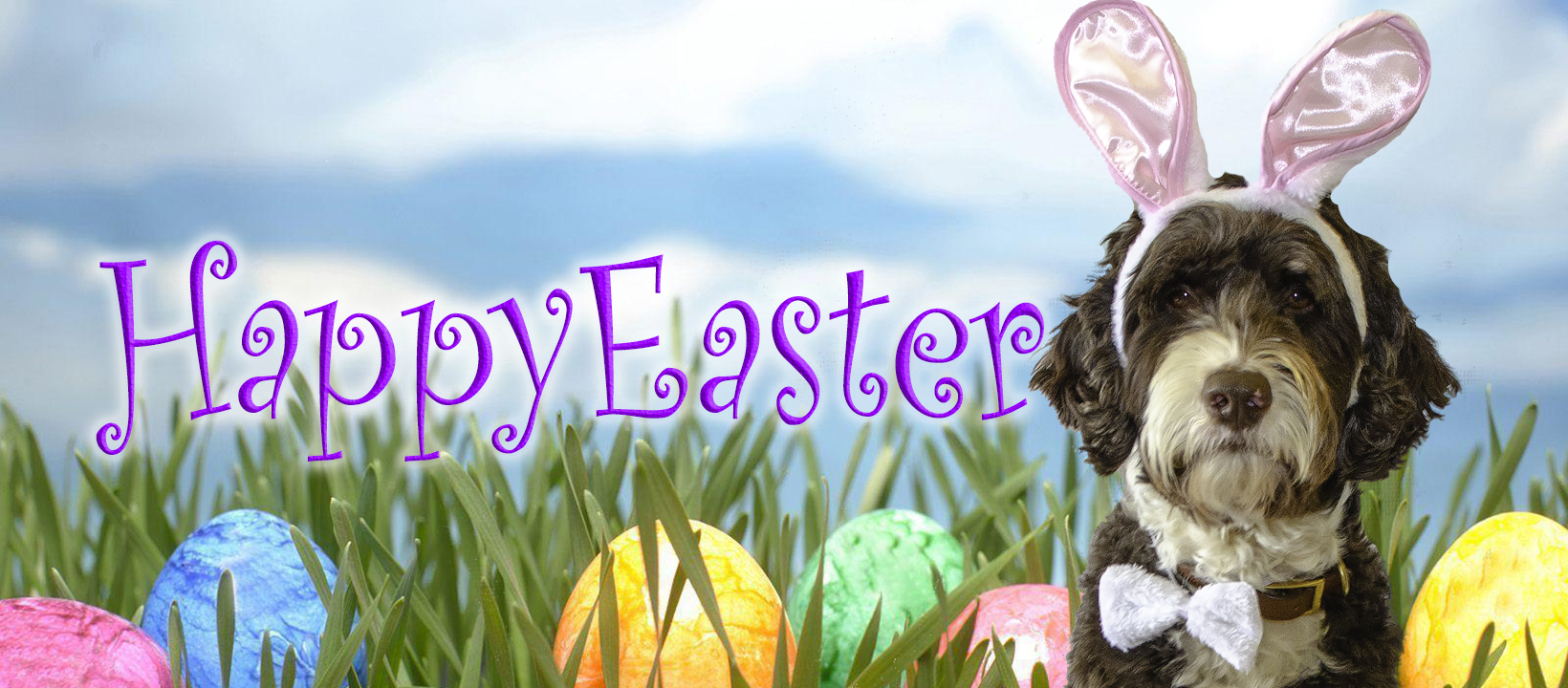 Wishing Everyone a Safe and Happy Easter Weekend – Sault Ste. Marie ...