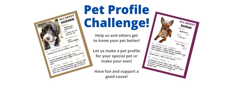 PET PROFILE CHALLENGE UPDATE: – Sault Ste. Marie Animal Clinic