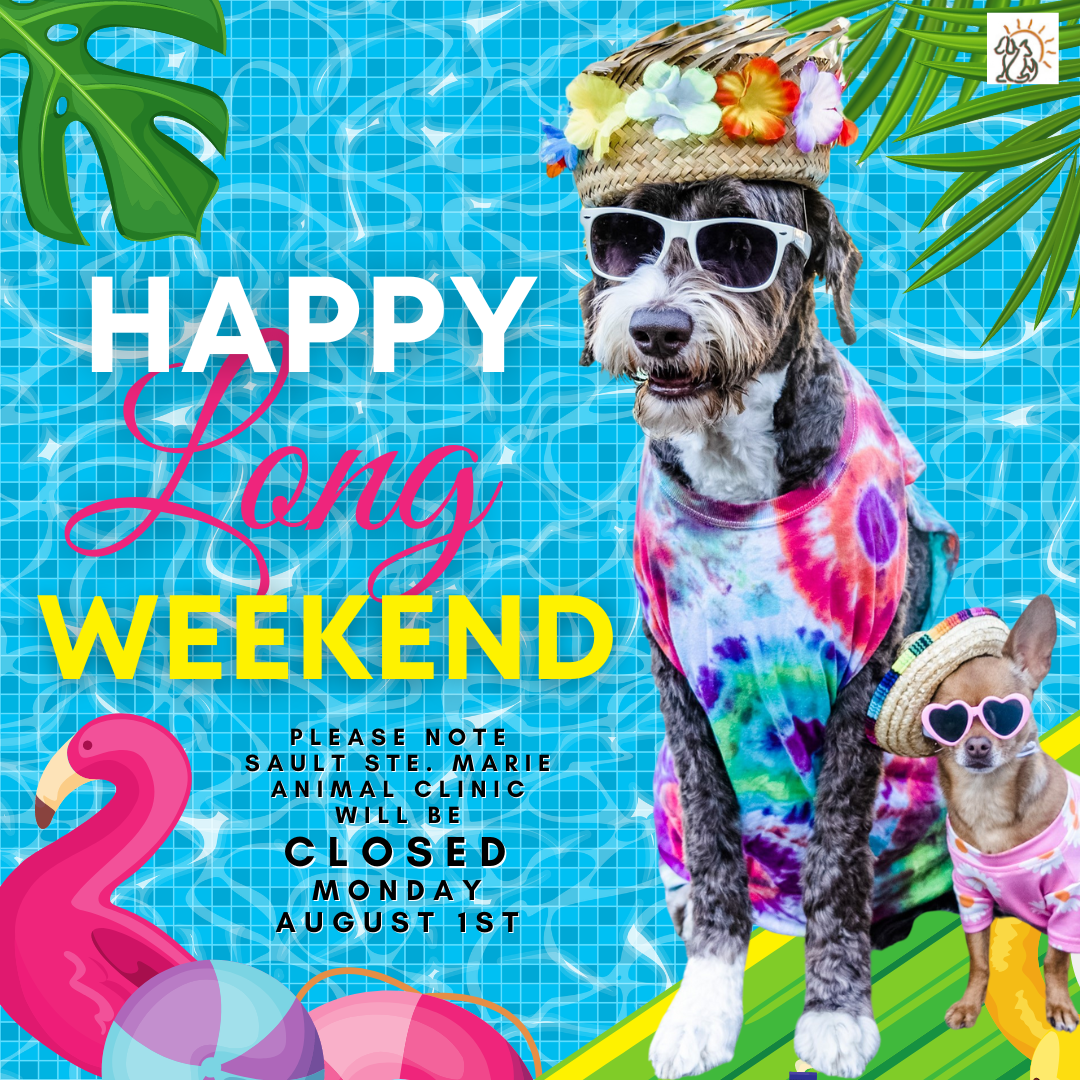 WHOO HOO!! It’s the LONG WEEKEND!! – Sault Ste. Marie Animal Clinic