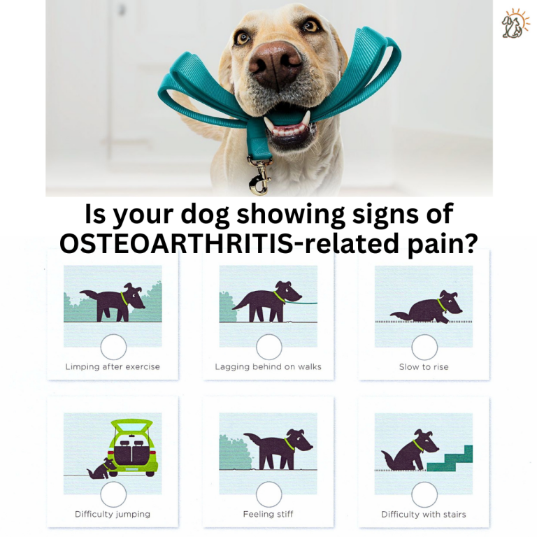 Exciting News!! Librela Now Available In Canada – Sault Ste. Marie ...