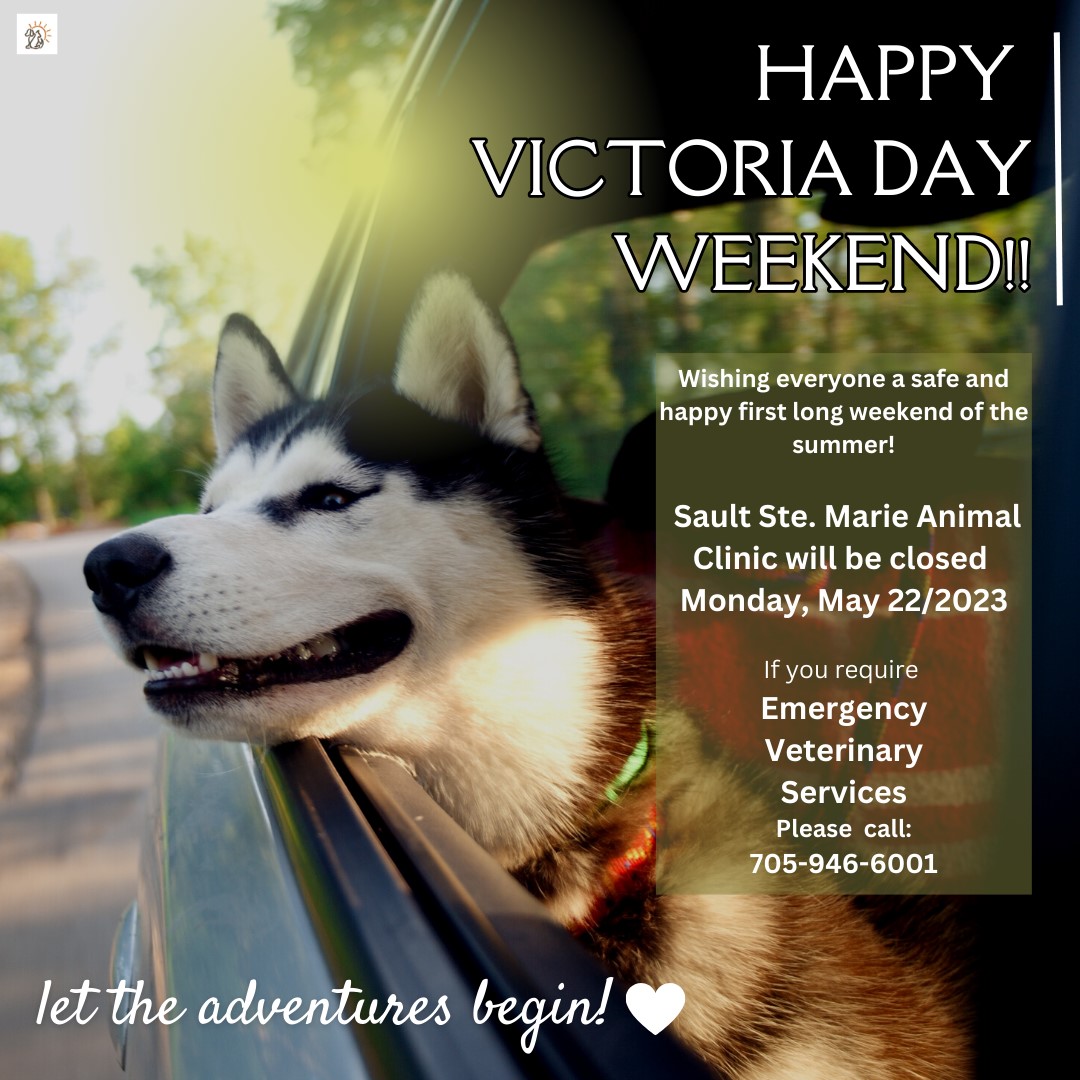 Happy Victoria Day Weekend From Sault Ste. Marie Animal Clinic – Sault ...